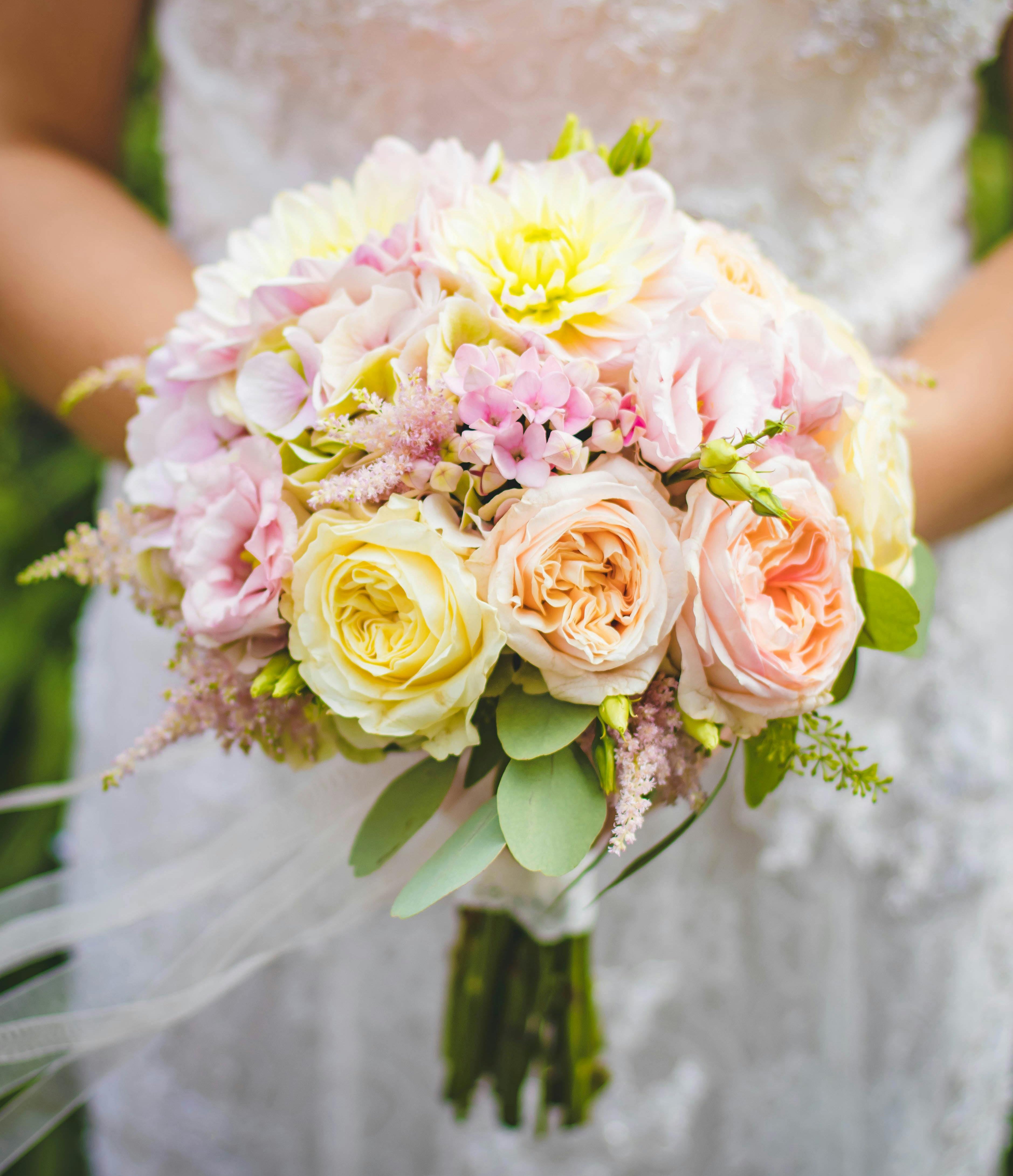 Wedding & Events Collection